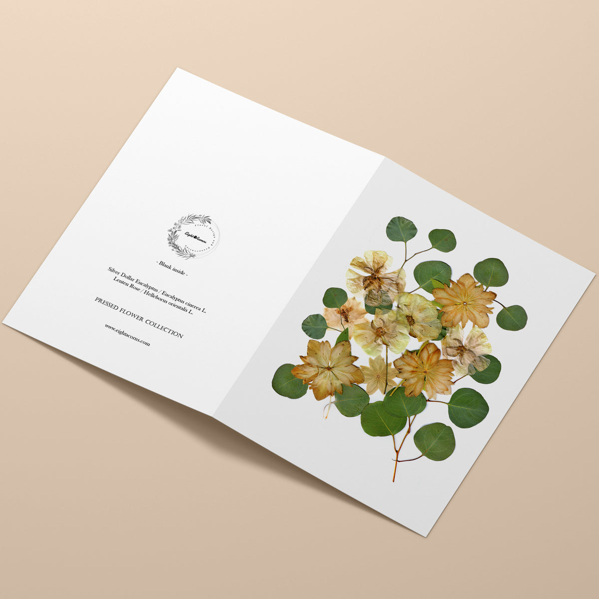 Eucalyptus Helleborus - Pressed flower collection greeting card – Eight ...