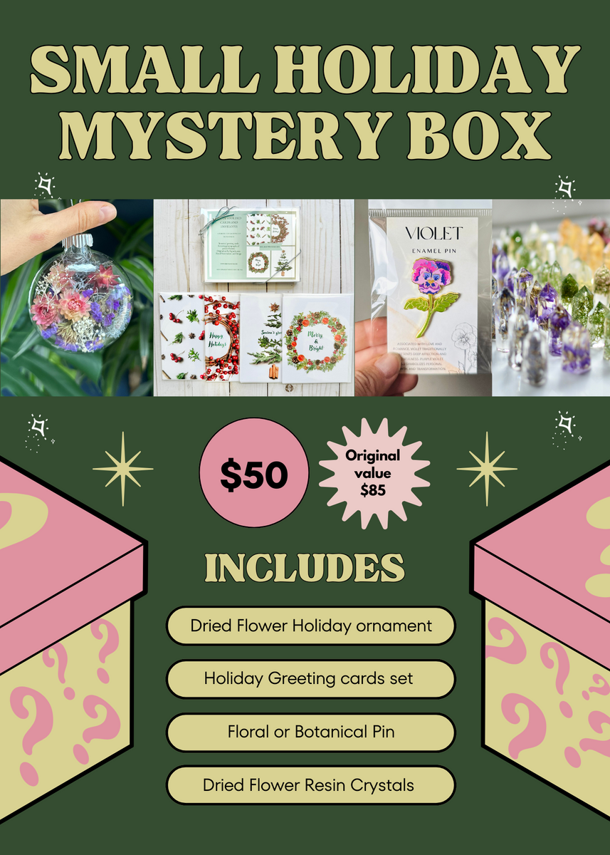 Small holiday Mystery Box – Eight Acorns Floral Preservation