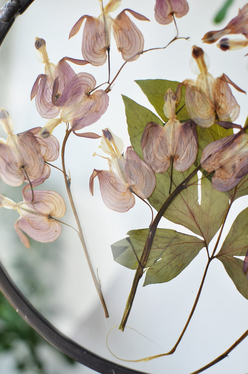 Round pressed flower wall hanging - Bleeding hearts – Eight Acorns ...